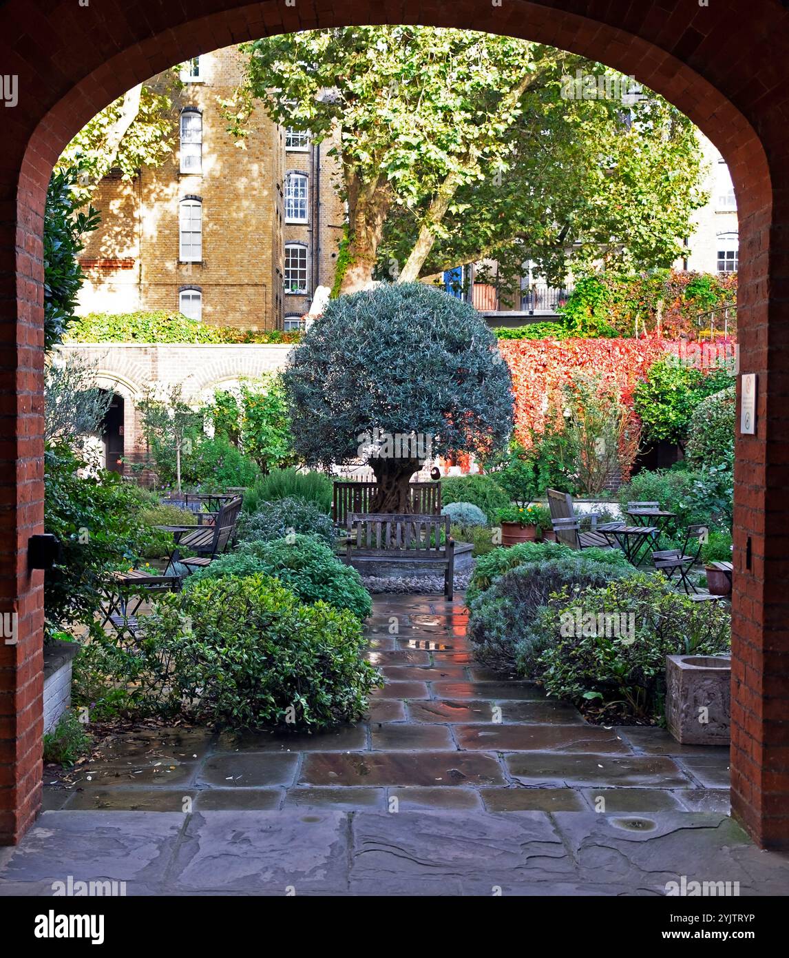 St john garden hi-res stock photography and images - Alamy