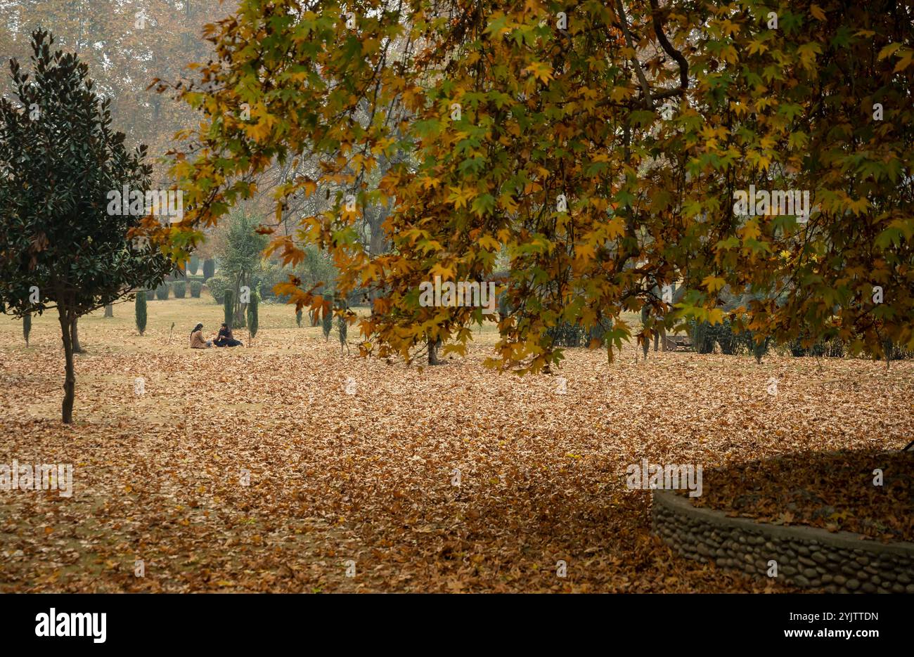 Visitors are seen sitting on scattered maple leaves inside Mughal ...