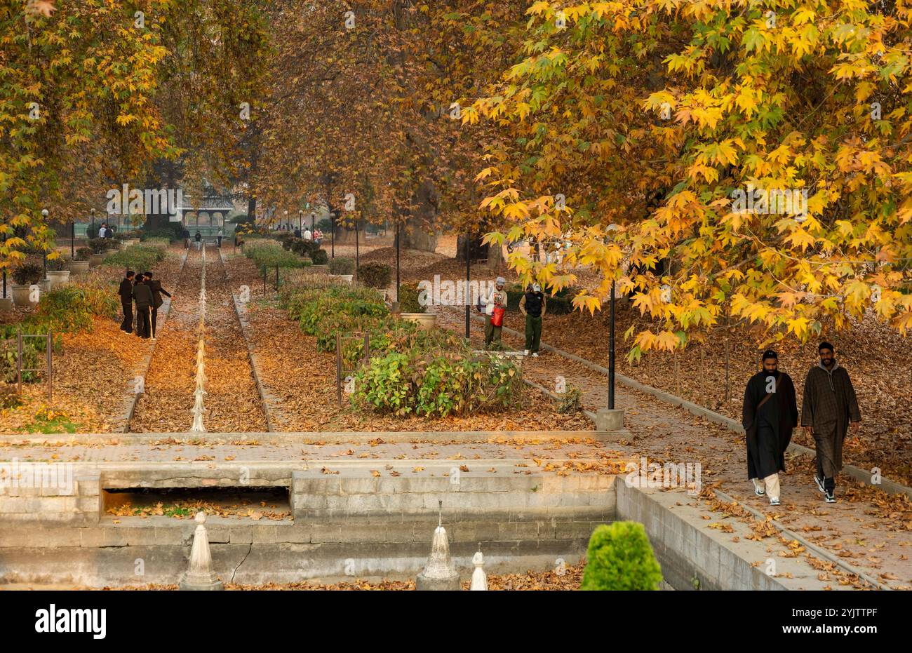 Visitors are seen walking beneath maple trees in Mughal garden on a ...