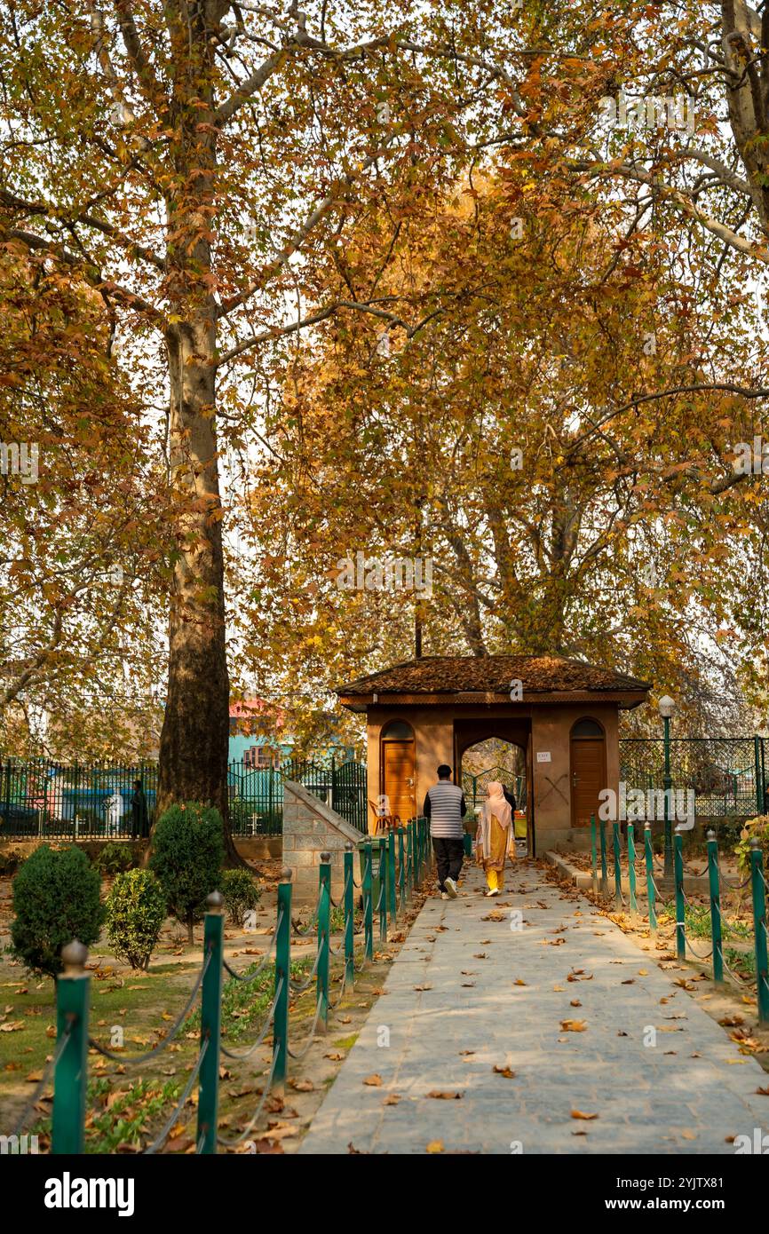 Visitors are seen walking beneath maple trees in Mughal garden on a ...