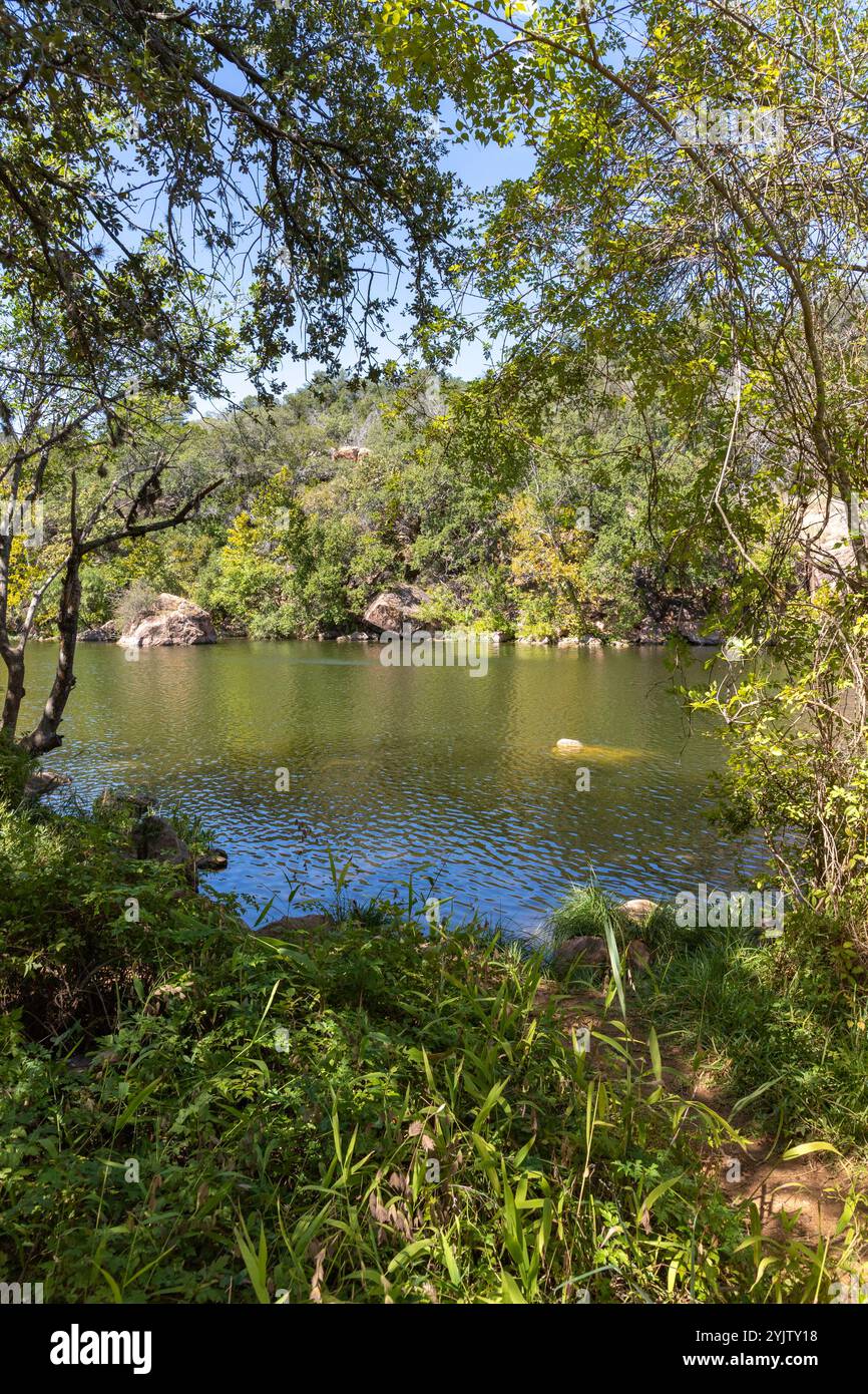 Burnet texas hi-res stock photography and images - Alamy