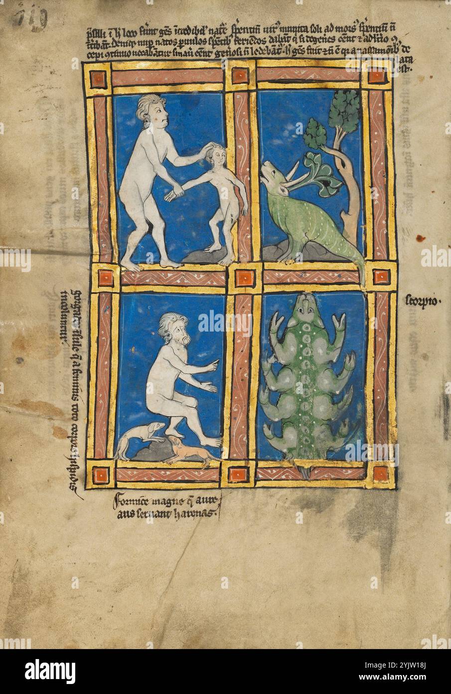 Medieval bestiary hugh hi-res stock photography and images - Alamy