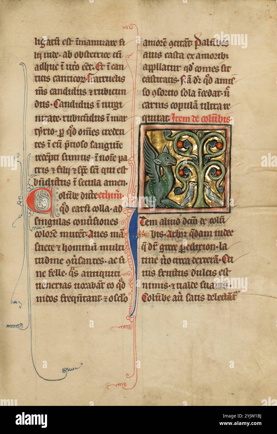 Birds india mythology hi-res stock photography and images - Alamy