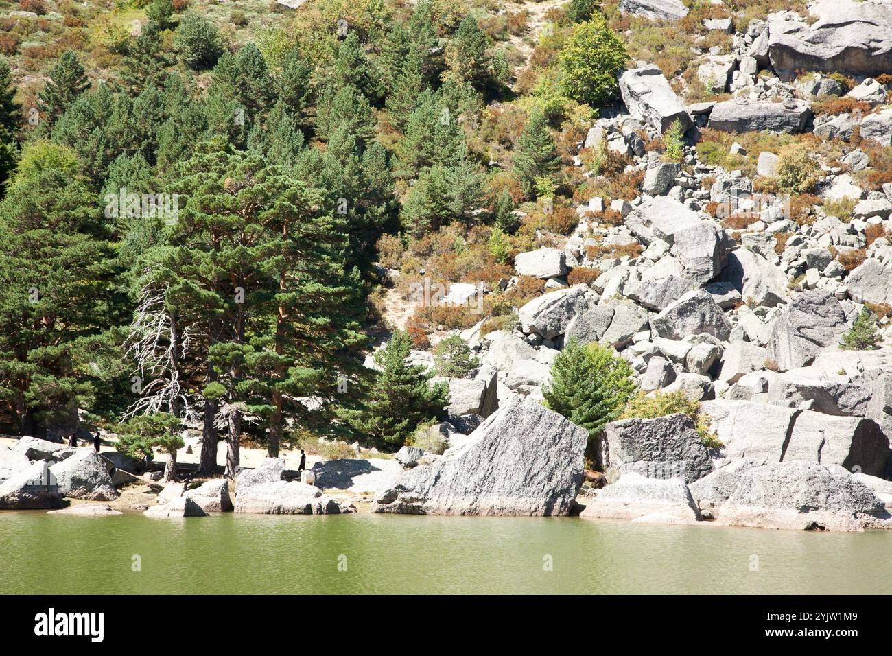 Black lagoon in Castile and Leon region, Spain. Lagoon landscape ...