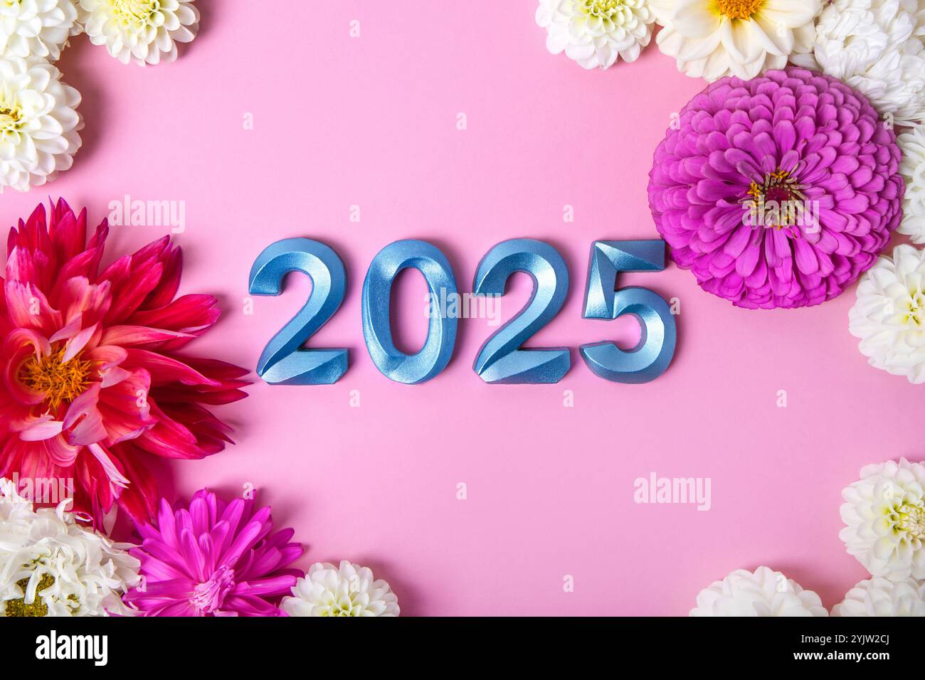Blue numbers and dahlia flowers on a pink background. 2025 new year ...