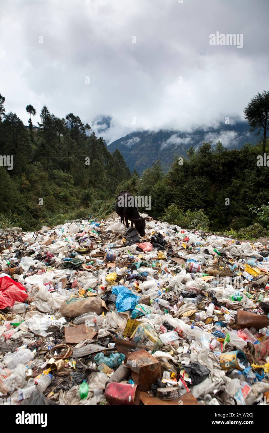 October 2009 WWF Everest / Imja Commission - Rubbish Tip -Incinerator ...