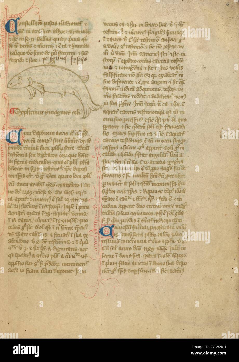 14th century text england hi-res stock photography and images - Alamy