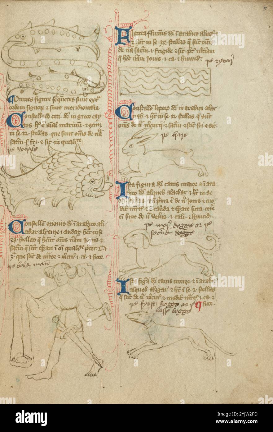 Constellations; Astronomical and Medical Miscellany: Toledan ...