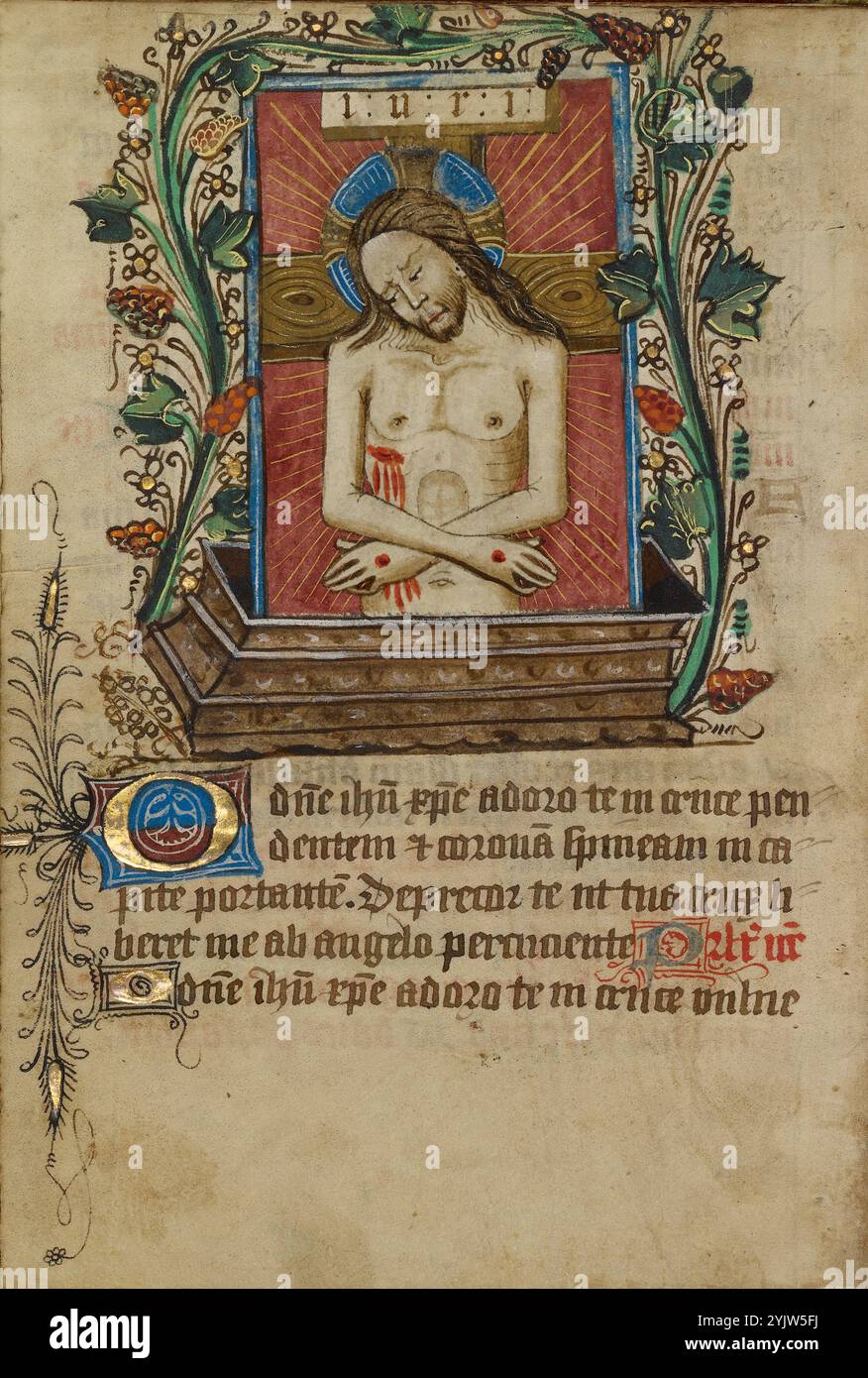 Christ as the Man of Sorrows; Illustrated Vita Christi, with devotional ...