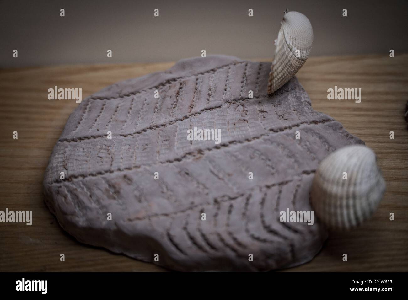 recreation of the impression made by cardium on ceramic paste during ...