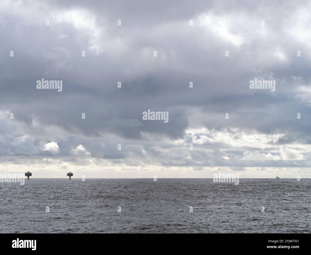 Offshore bird hi-res stock photography and images - Alamy