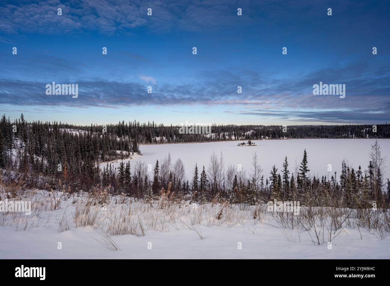Canadian shield taiga boreal forest hi-res stock photography and images ...