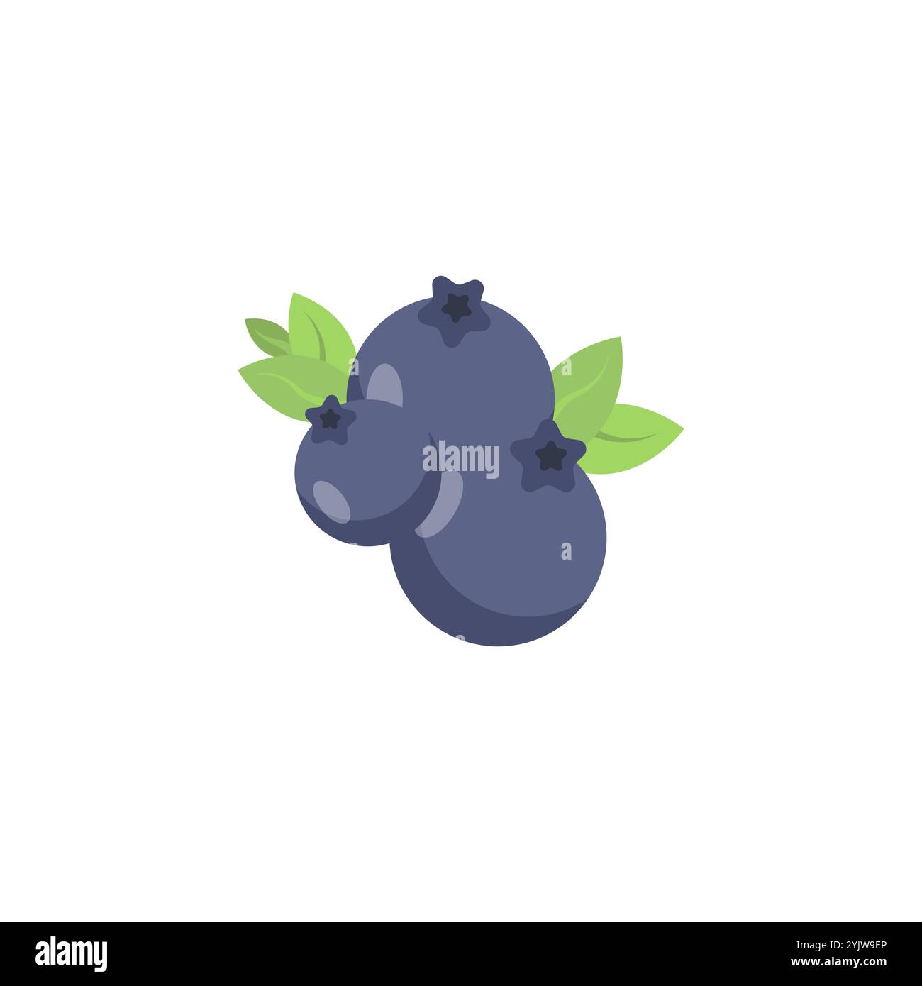 Blueberry icon. Three blueberries on a white background vector ...