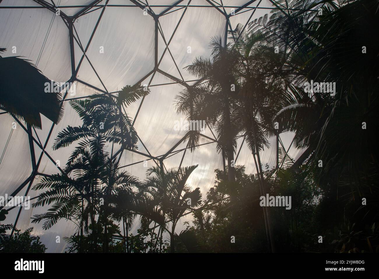 Rainforest Biome, part of the Multiple greenhouse complex by Grimshaw ...