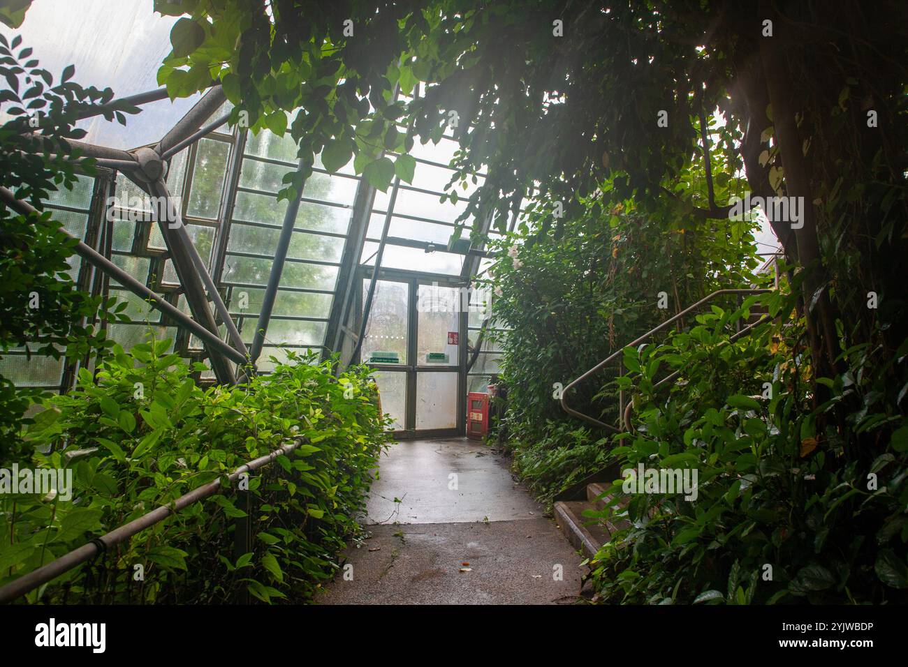 Rainforest Biome, part of the Multiple greenhouse complex by Grimshaw ...
