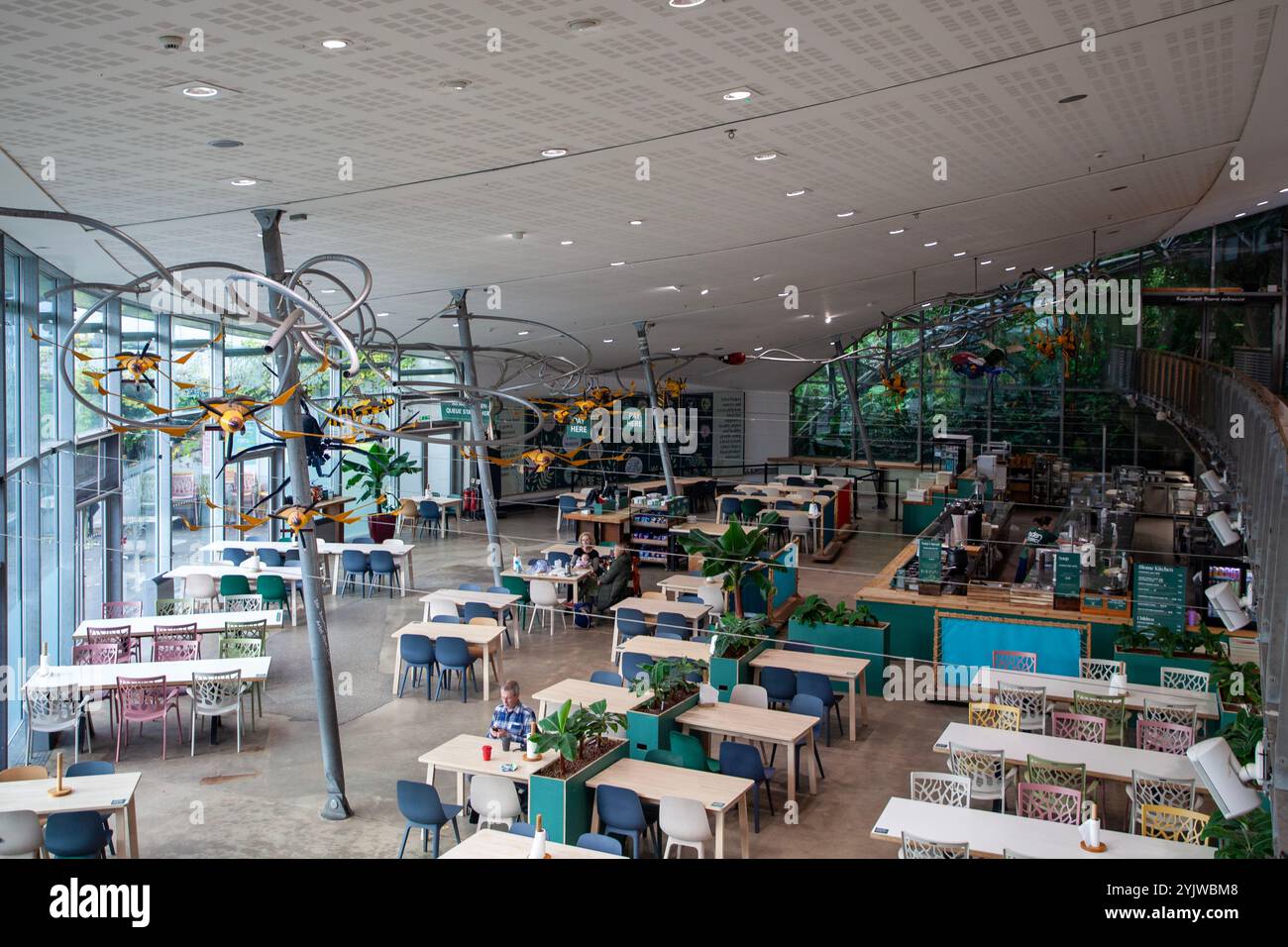 Dining area of The Eden Project in Cornwall Stock Photo - Alamy