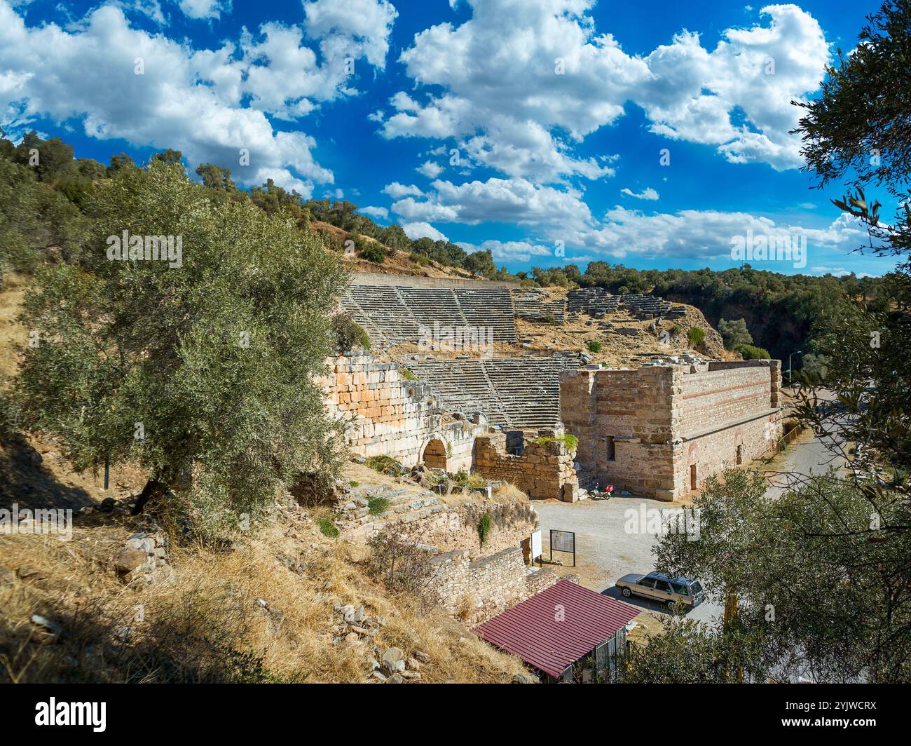 Ruins of the ancient city of Nysa in Aydın, Turkey, featuring remnants ...