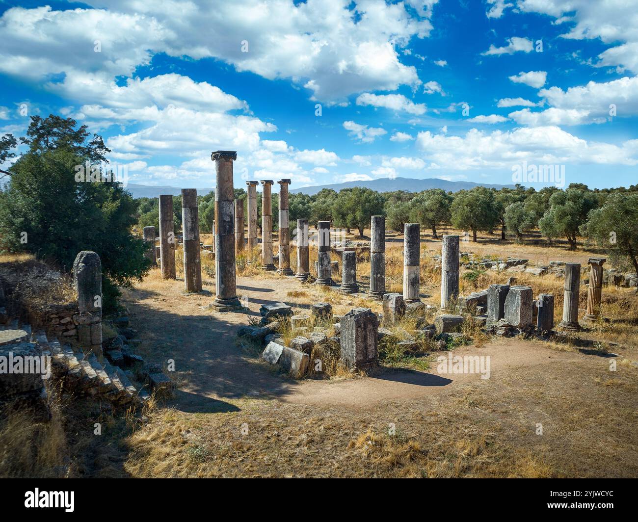 Ruins of the ancient city of Nysa in Aydın, Turkey, featuring remnants ...