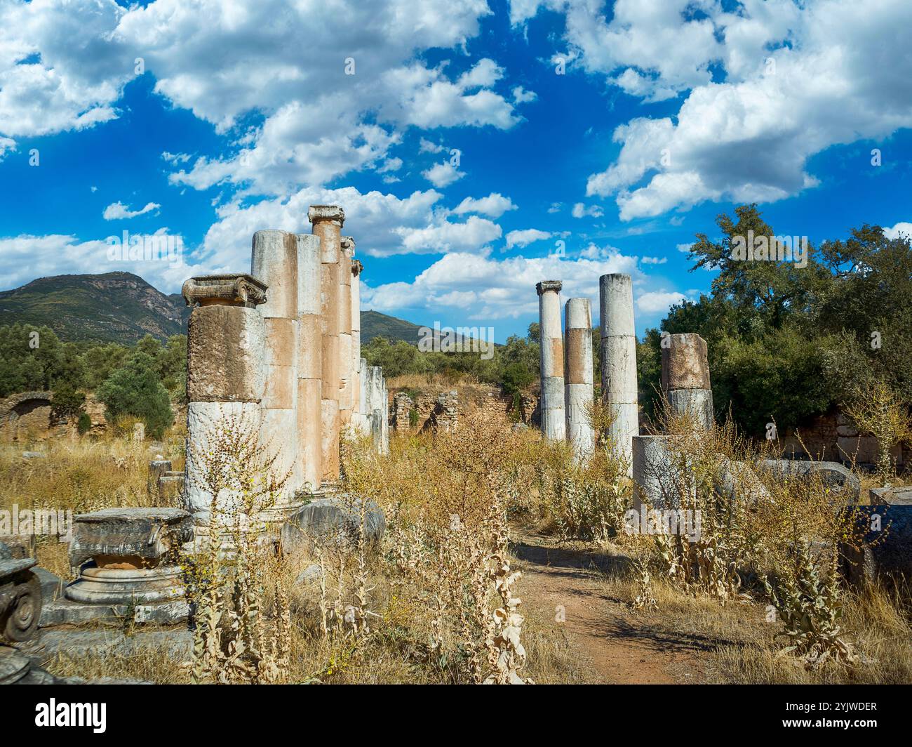 Ruins of the ancient city of Nysa in Aydın, Turkey, featuring remnants ...