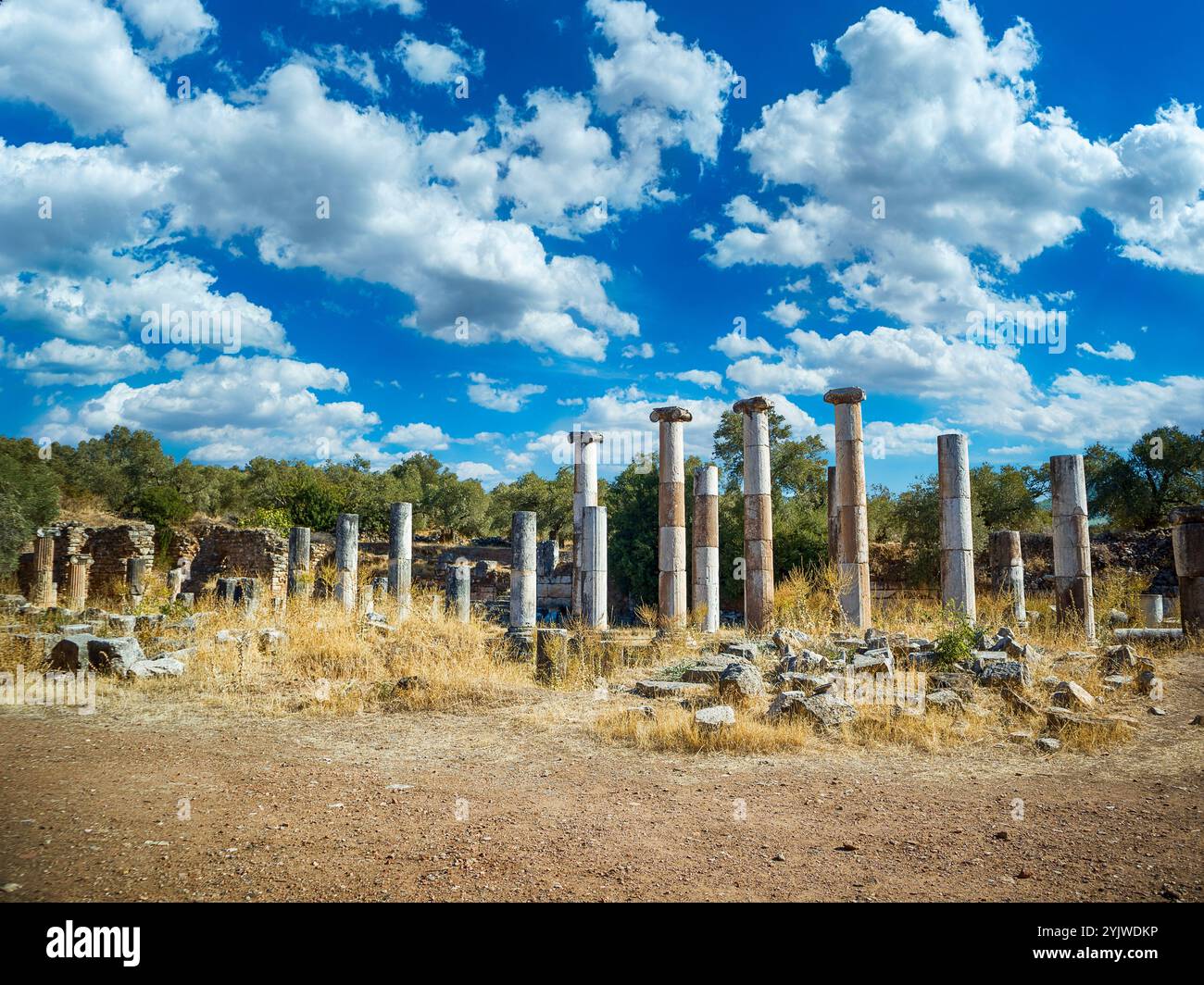 Ruins of the ancient city of Nysa in Aydın, Turkey, featuring remnants ...