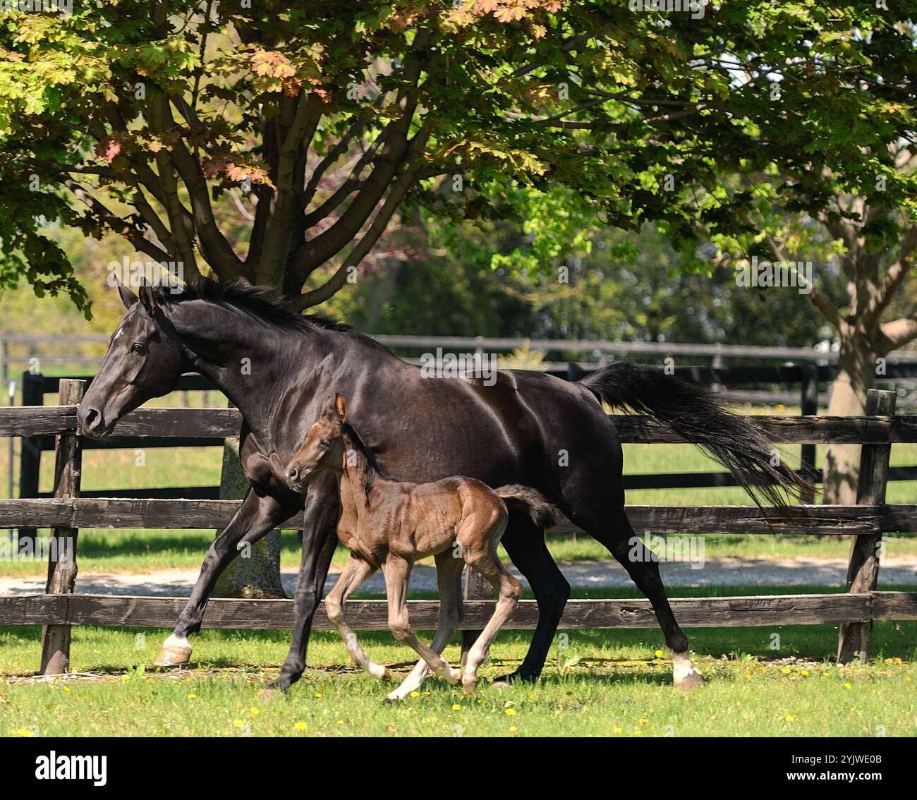 Baby type hi-res stock photography and images - Alamy