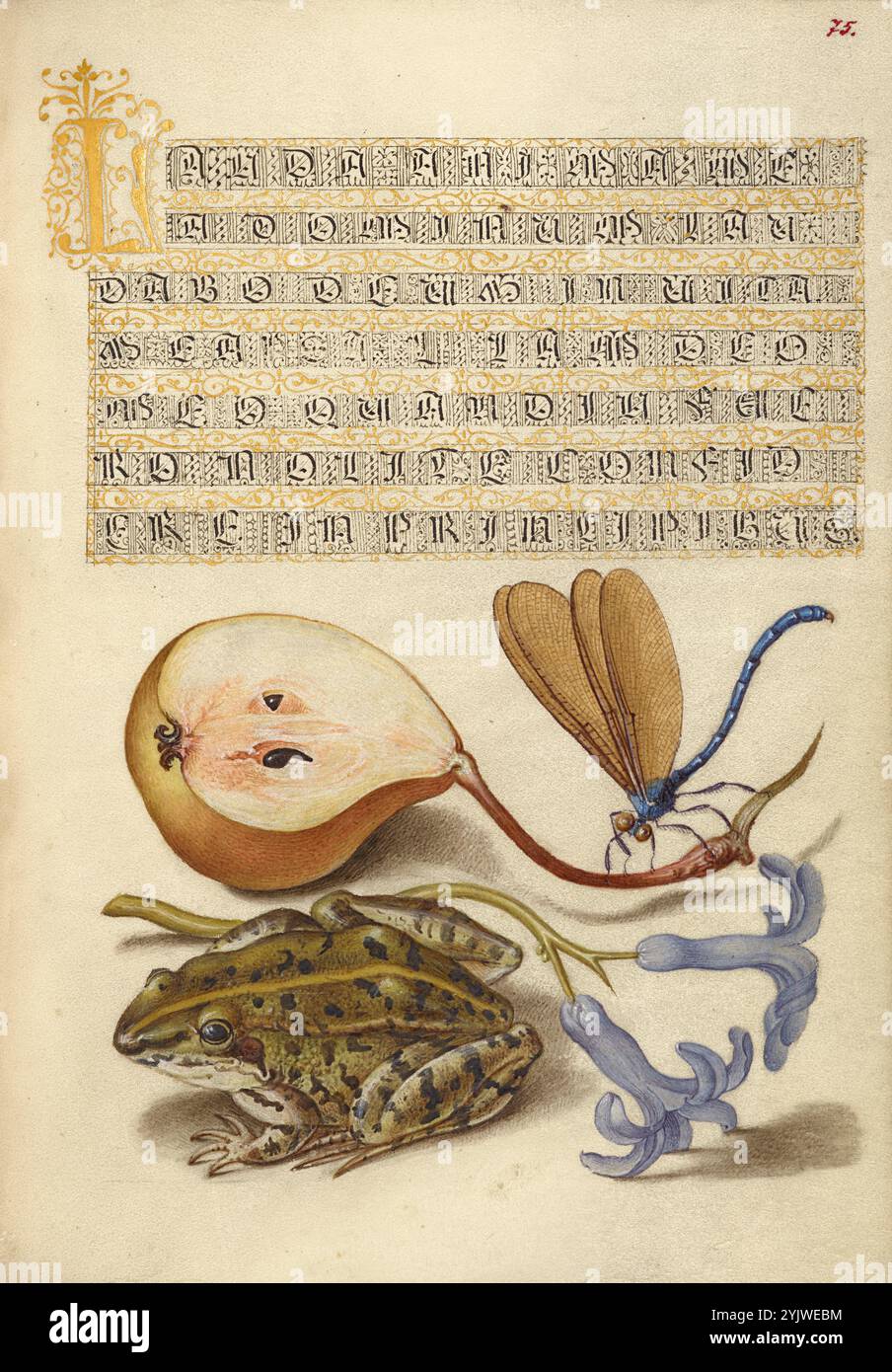 Rudolph lake hi-res stock photography and images - Alamy