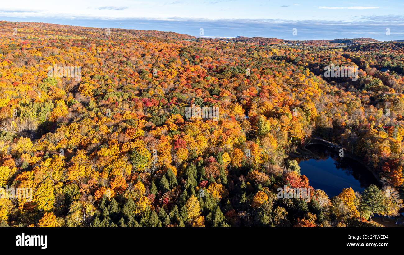 Drone view of mountains and their colorfull trees in autumn. Flight ...