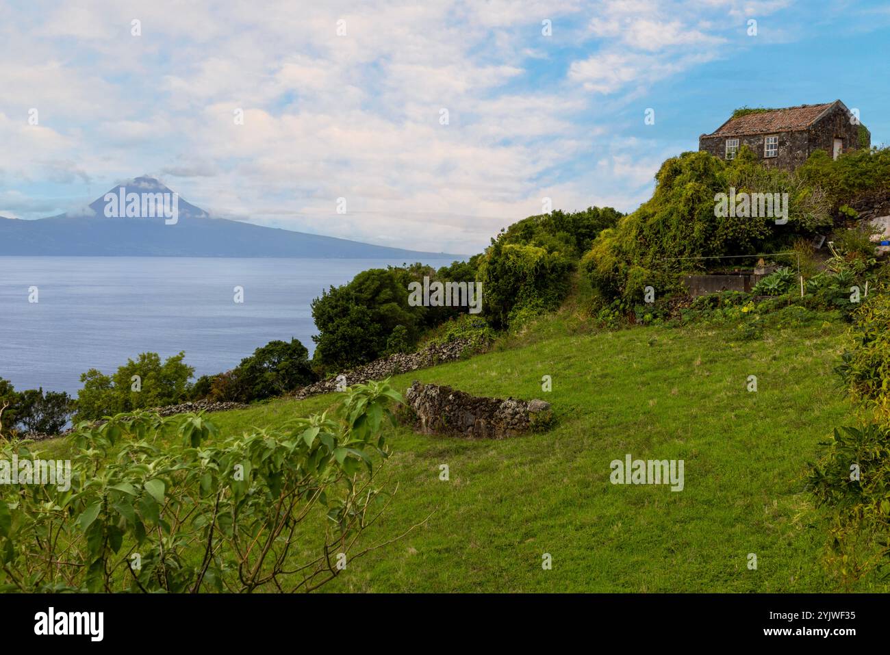 View to Mount Pico from the village Calheta in Sao Jorge Island, Azores ...