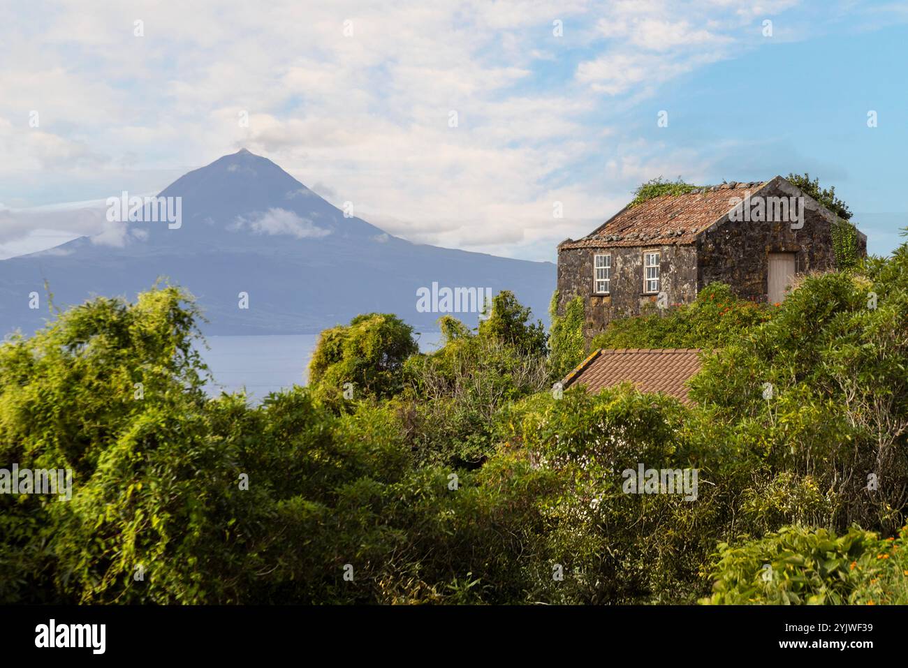 View to Mount Pico from the village Calheta in Sao Jorge Island, Azores ...