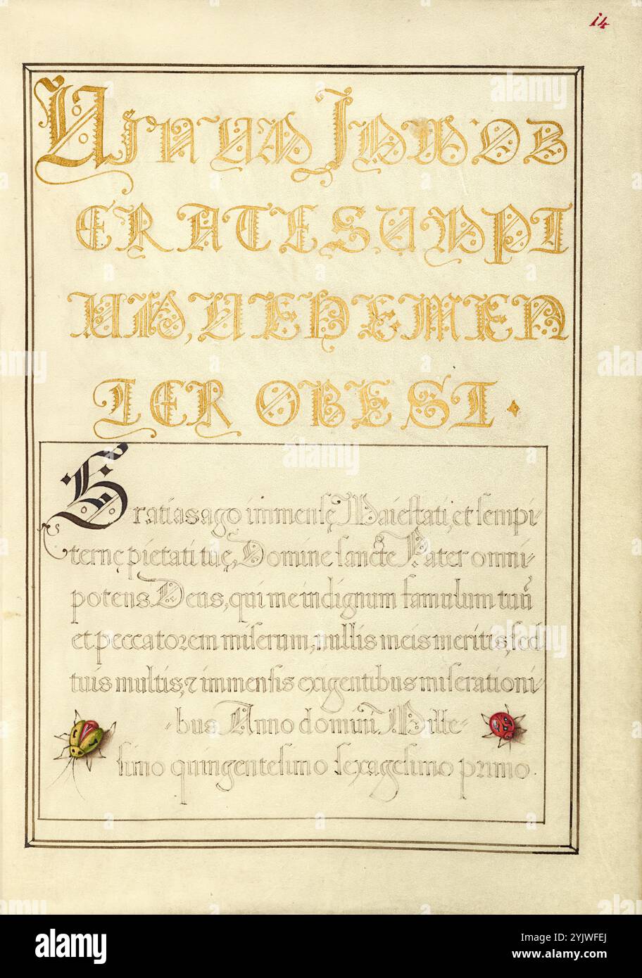 Beetlelike Insects; Mira calligraphiae monumenta, 1561-1562 ...