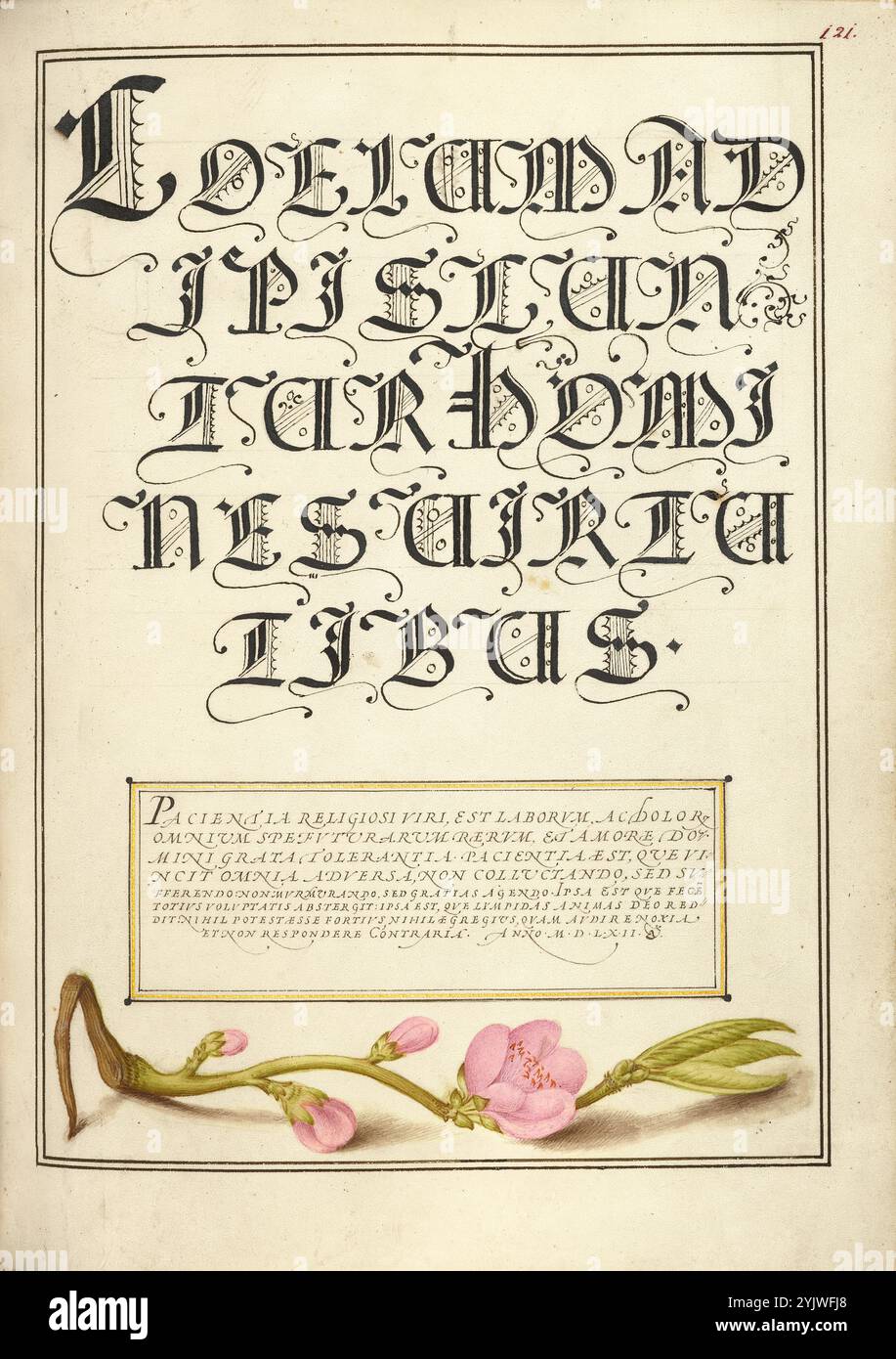 Almond in Flower; Mira calligraphiae monumenta, 1561-1562; illumination ...