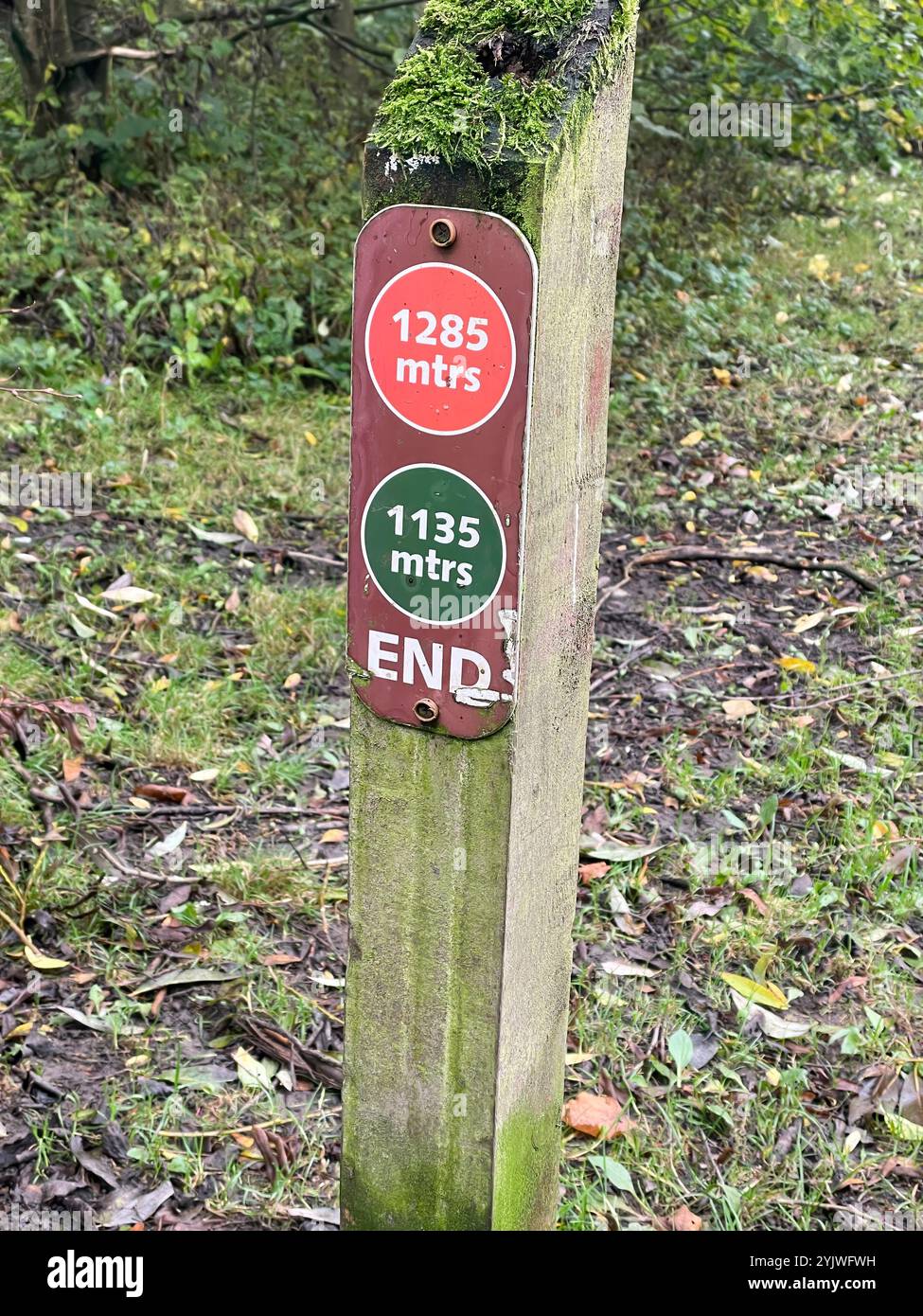 A trail marker showing distances along a moss-covered post on a forest ...