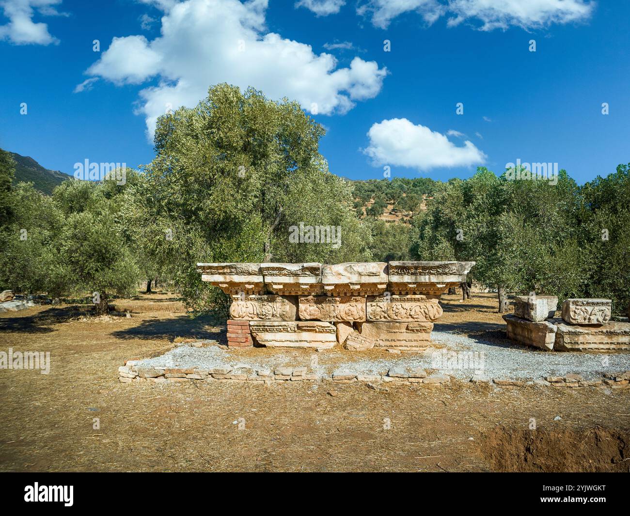 Ruins of the ancient city of Nysa in Aydın, Turkey, featuring remnants ...