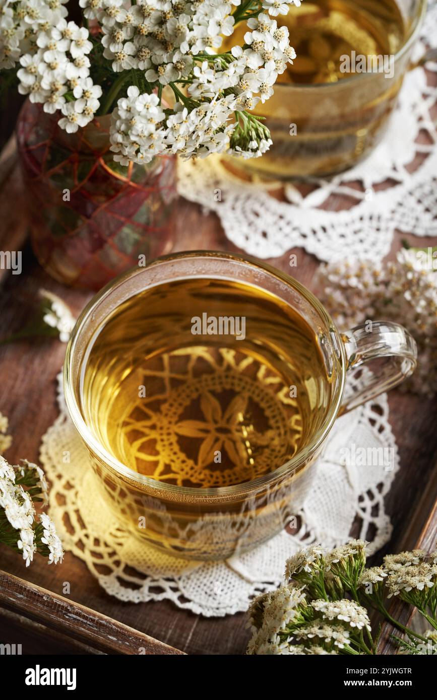 Yarrow tea in cup hi-res stock photography and images - Alamy