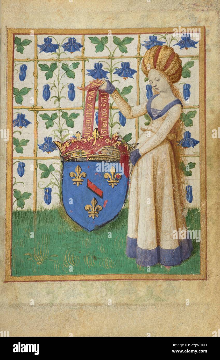 Heraldry manuscript hi-res stock photography and images - Alamy