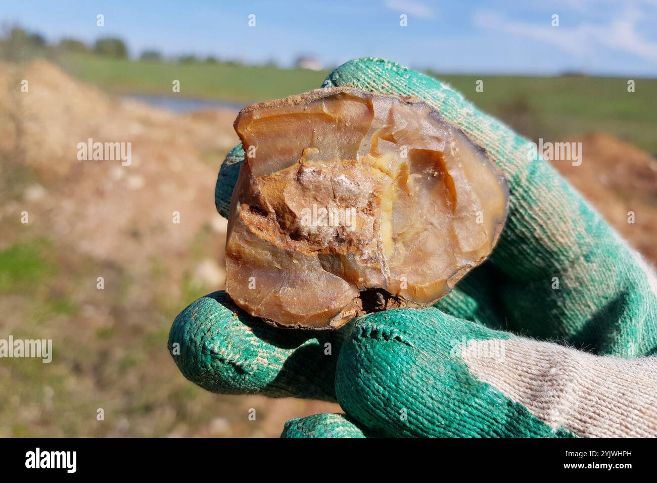 Flint concretion fragment in hand, rockhounding, field photo. Russia ...