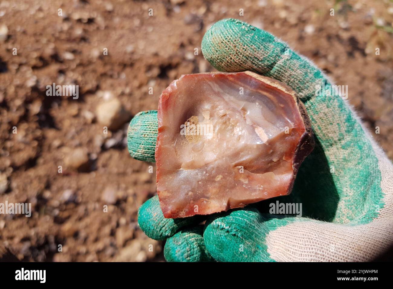 Red flint chip with natural polish, rockhounding, field photo. Russia ...