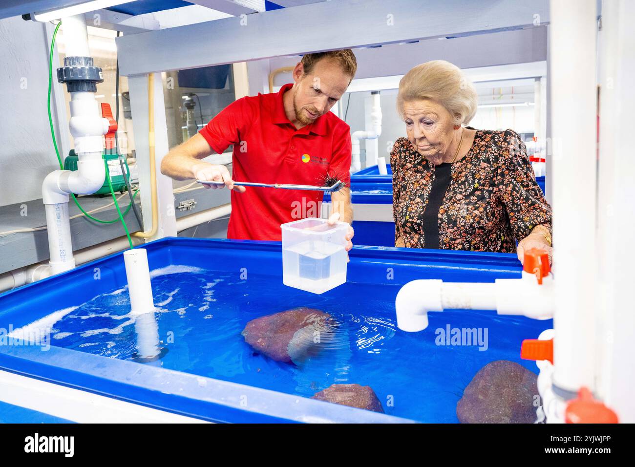 Fort Bay, The Netherlands, 2024-11-15 10:52:06 SABA, 15-11-2024, Saba ...