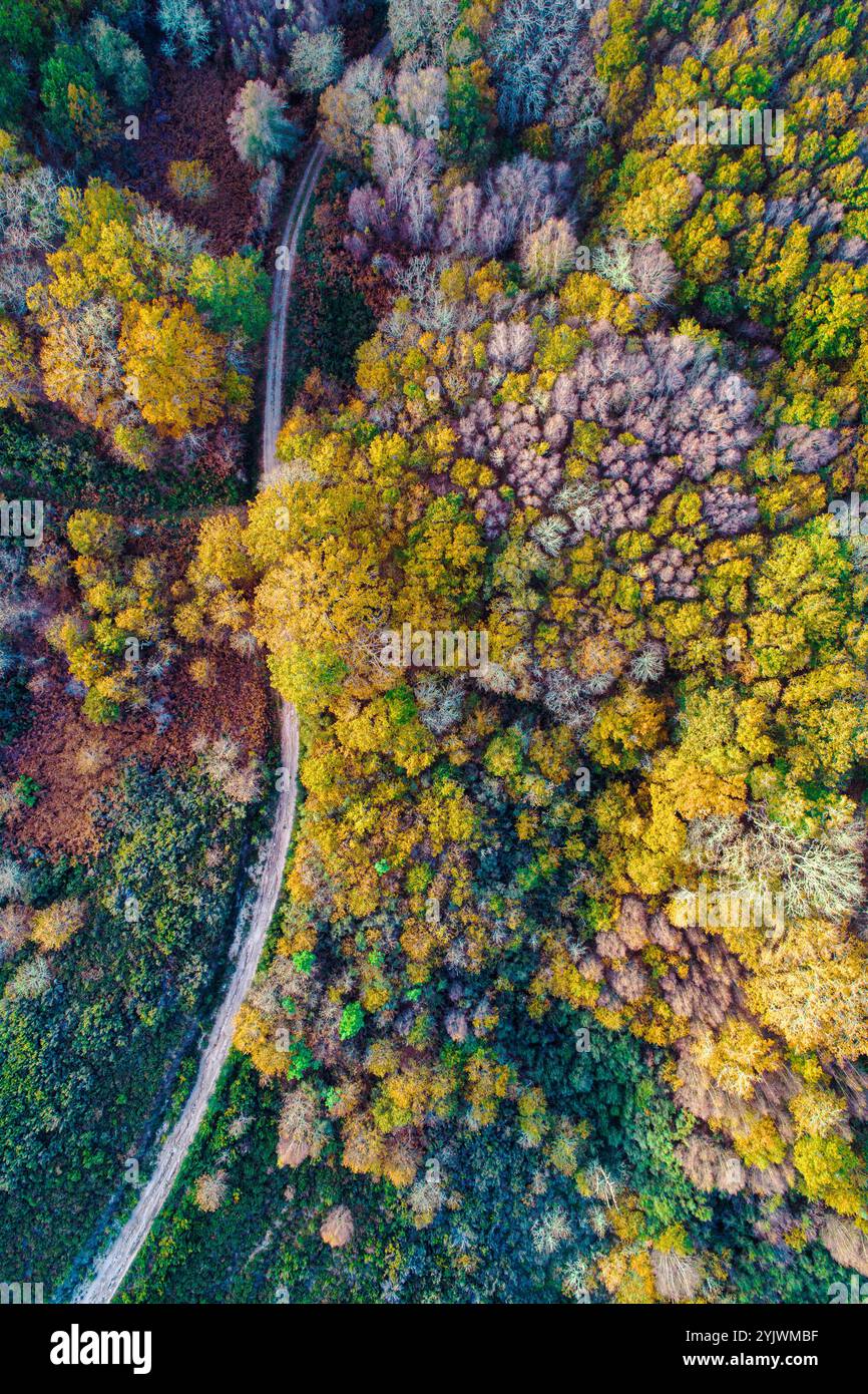 Bower road hi-res stock photography and images - Alamy