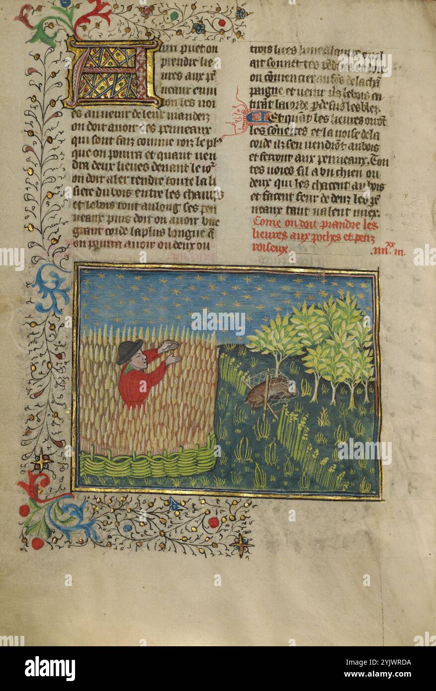 A Hunter and a Netted Hare; Livre de la Chasse, about 1430-1440 ...