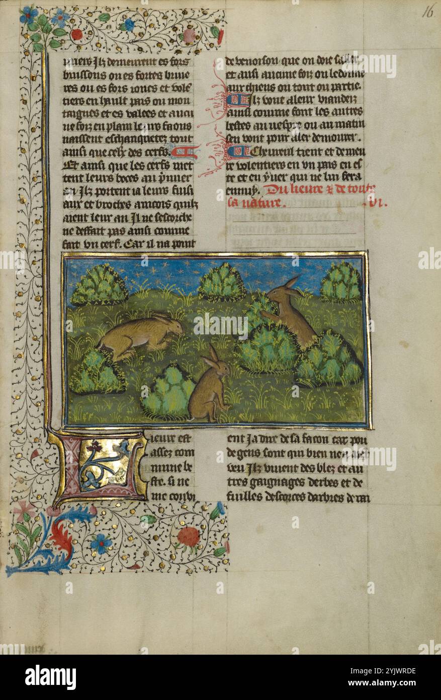Hares; Livre de la Chasse, about 1430-1440. Medieval book on hunting ...