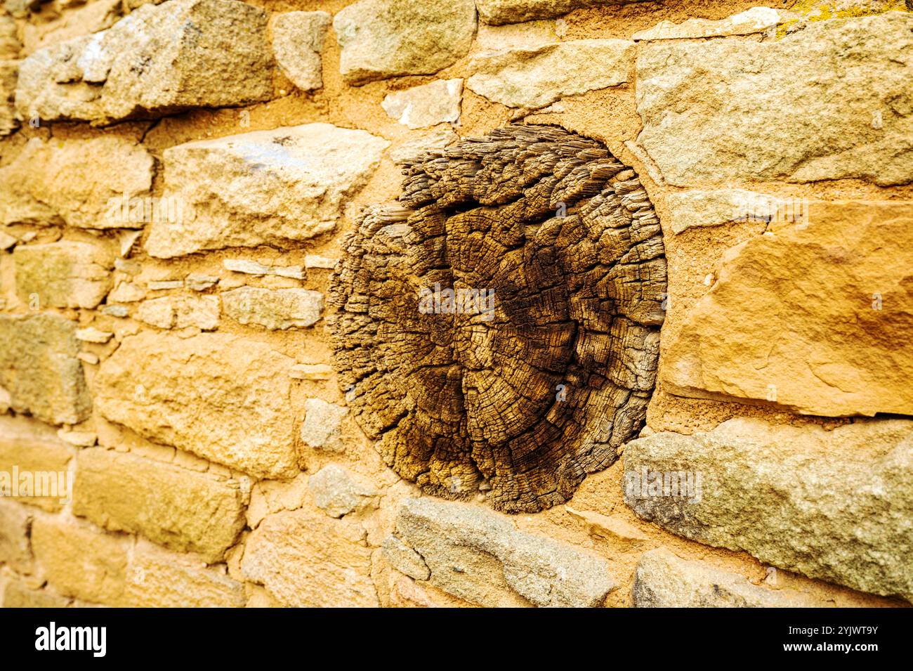 Log beam in masonry wall; Aztek West; Aztek Ruins National Monument ...