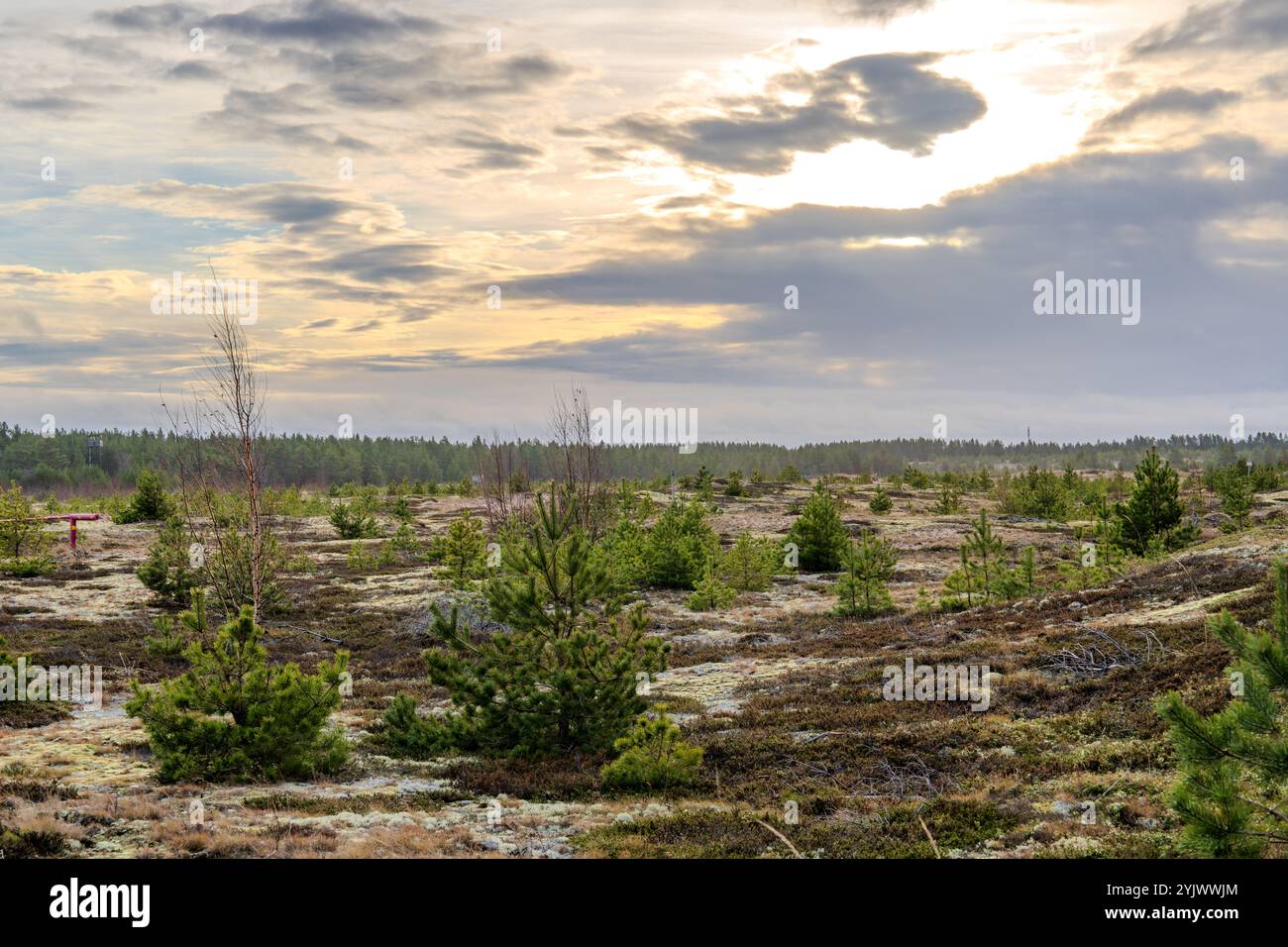 Soldiers from 1st Battalion, 57th Air Defense Artillery observe the ...