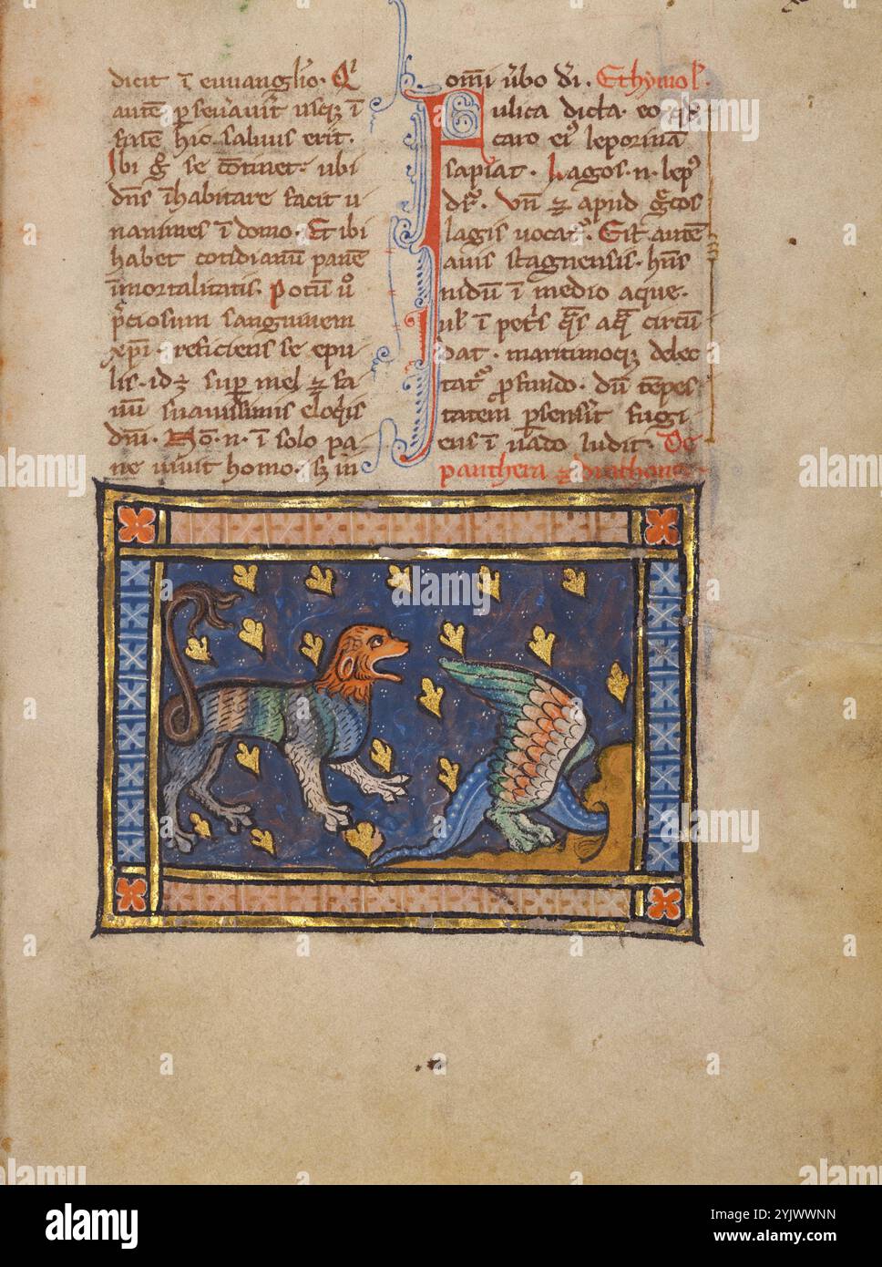 Winged panther hi-res stock photography and images - Alamy