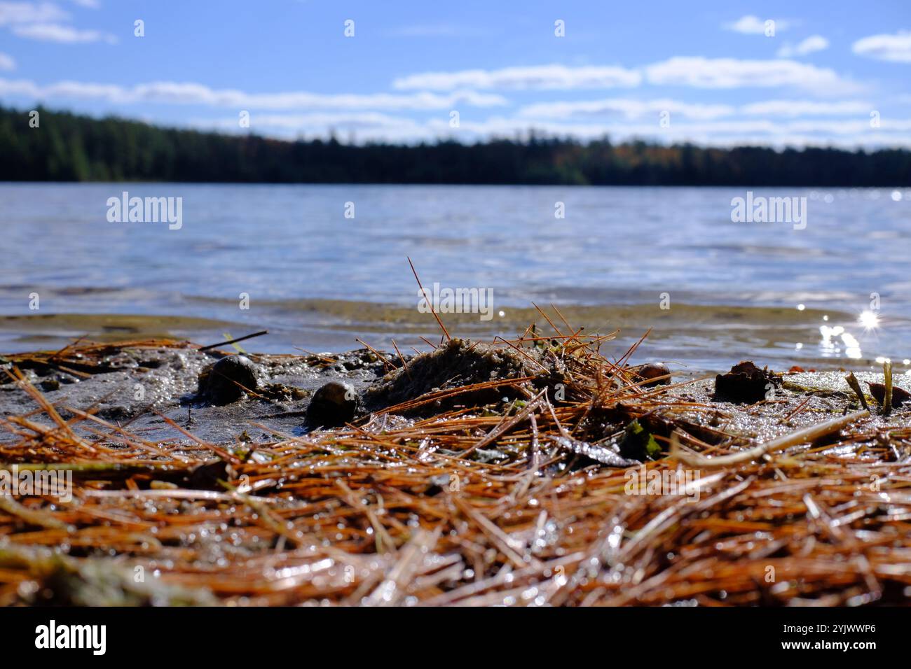 Country snails hi-res stock photography and images - Alamy