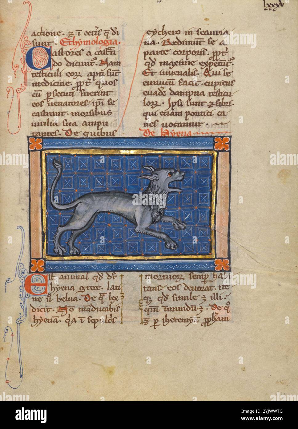 Medieval bestiary hi-res stock photography and images - Alamy
