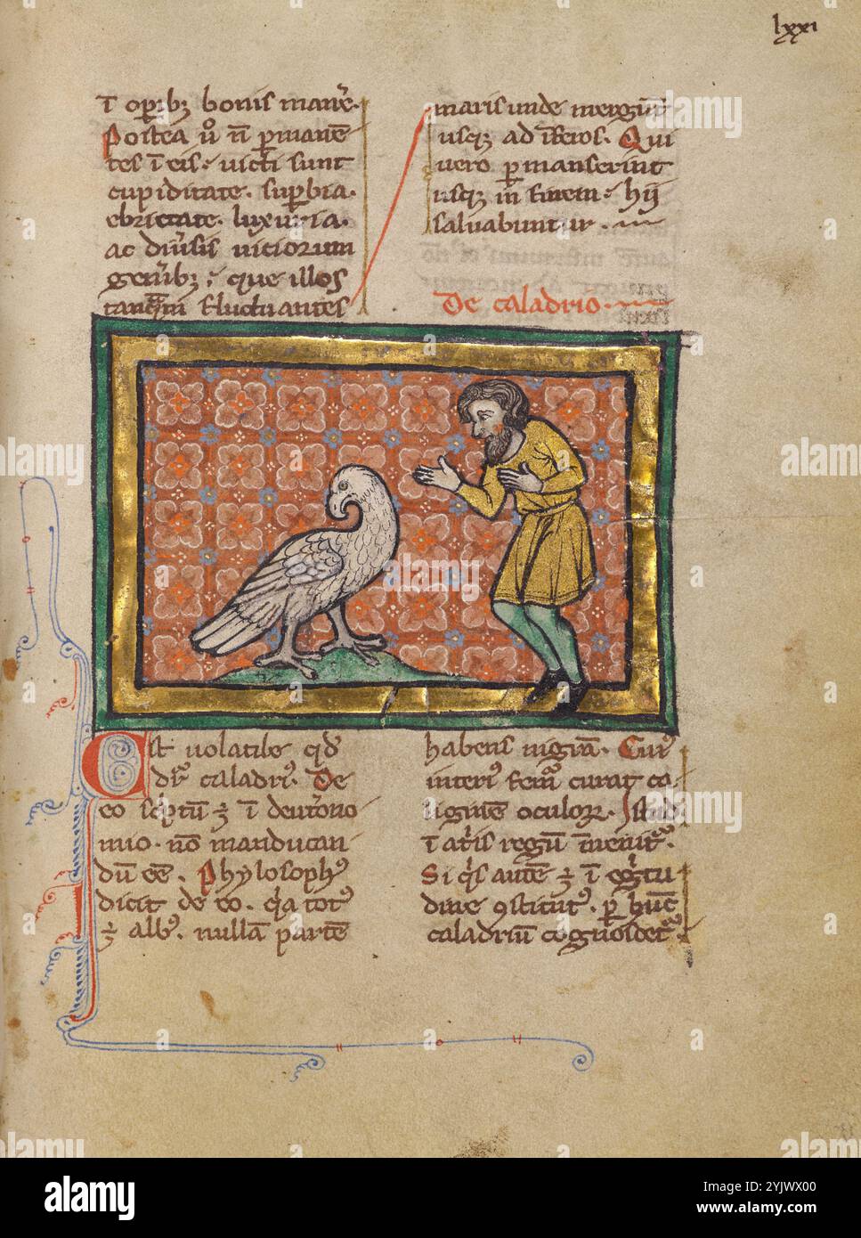 Roman mythology the caladrius hi-res stock photography and images - Alamy