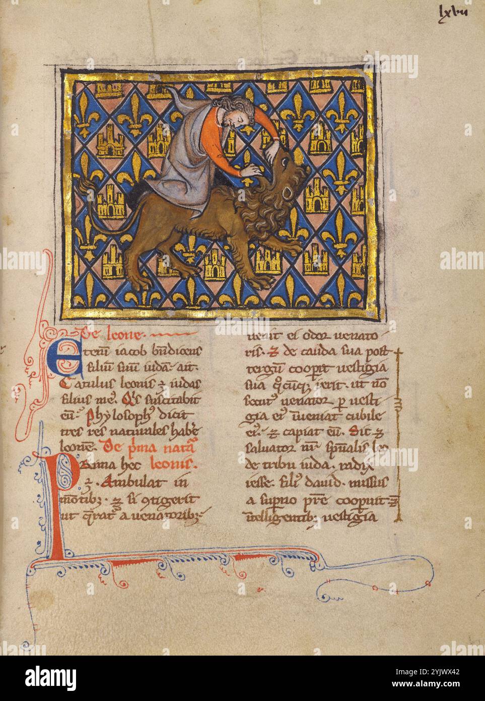Samson Wrestling with the Lion; Bestiary, about 1270 Stock Photo - Alamy