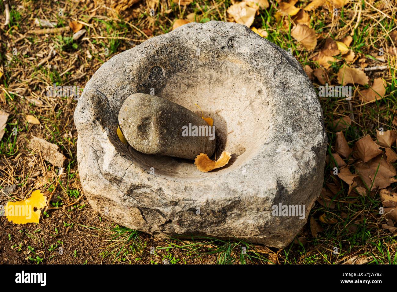 Stone mortar and pestle used to grind grain; Aztek West; Aztek Ruins ...