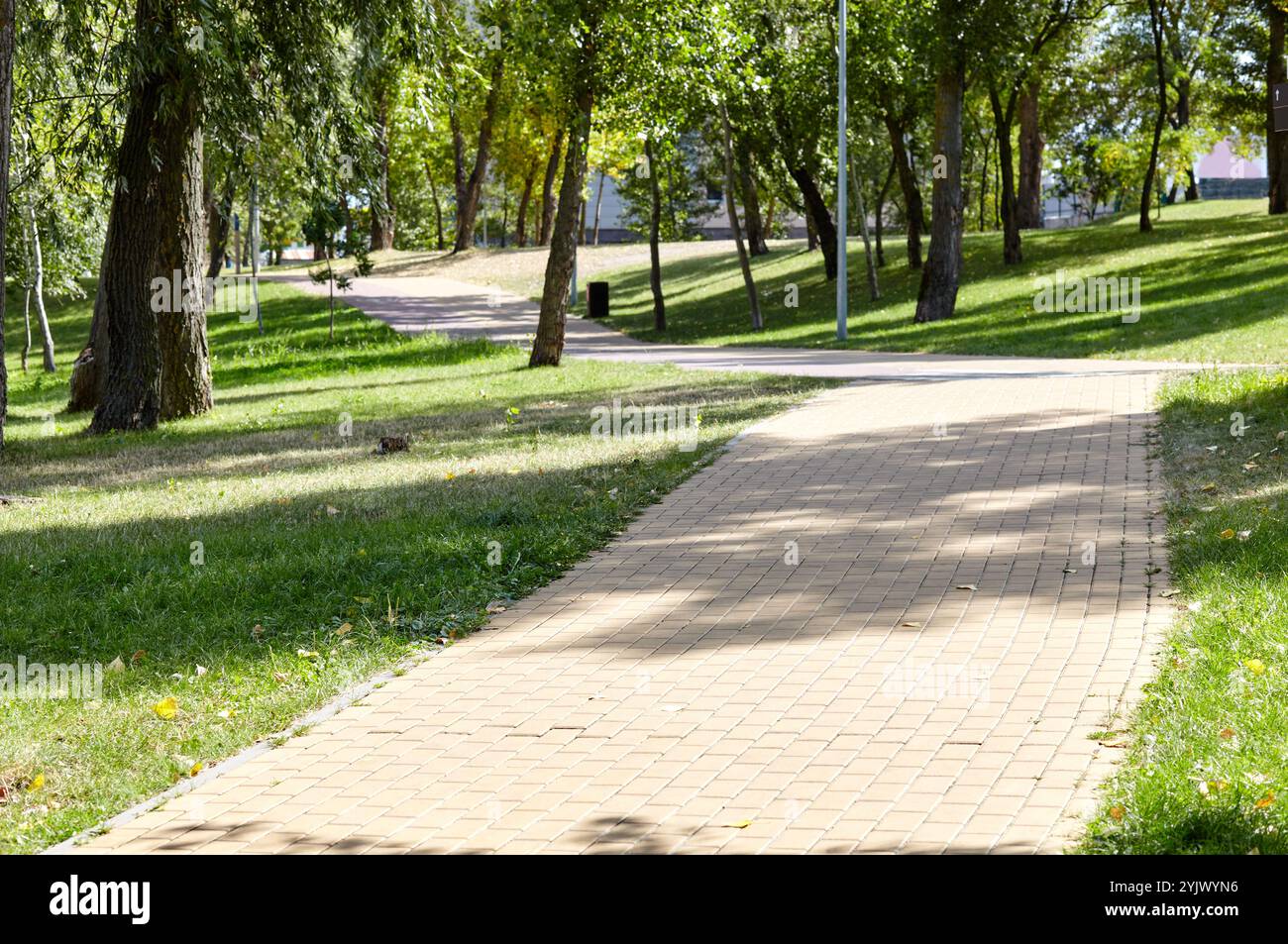 Grass pathway at park hi-res stock photography and images - Alamy